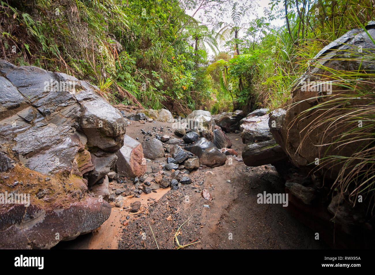 Indonesia tomohon hi-res stock photography and images - Alamy