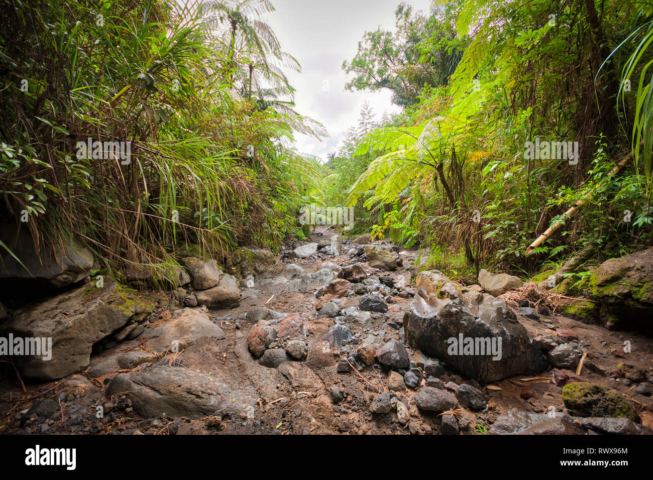 Mount Lokon, together with Mount Empung, is a twin volcano in the ...