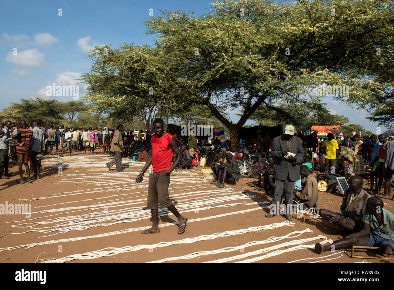 Ropes used for tying up cattle for sale at the weekly Moroto cattle ...