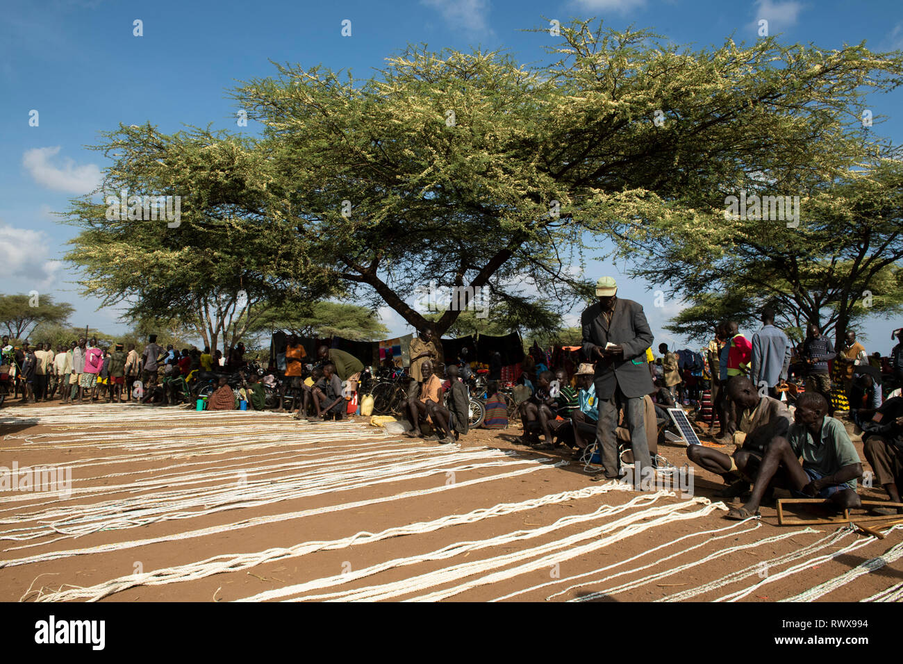 Ropes used for tying up cattle for sale at the weekly Moroto cattle ...