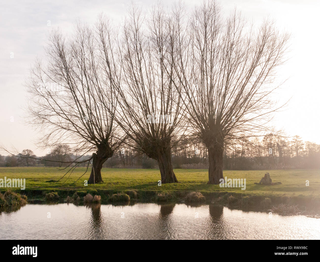 Beautiful countryside Dedham water scene outside nature landscape space ...