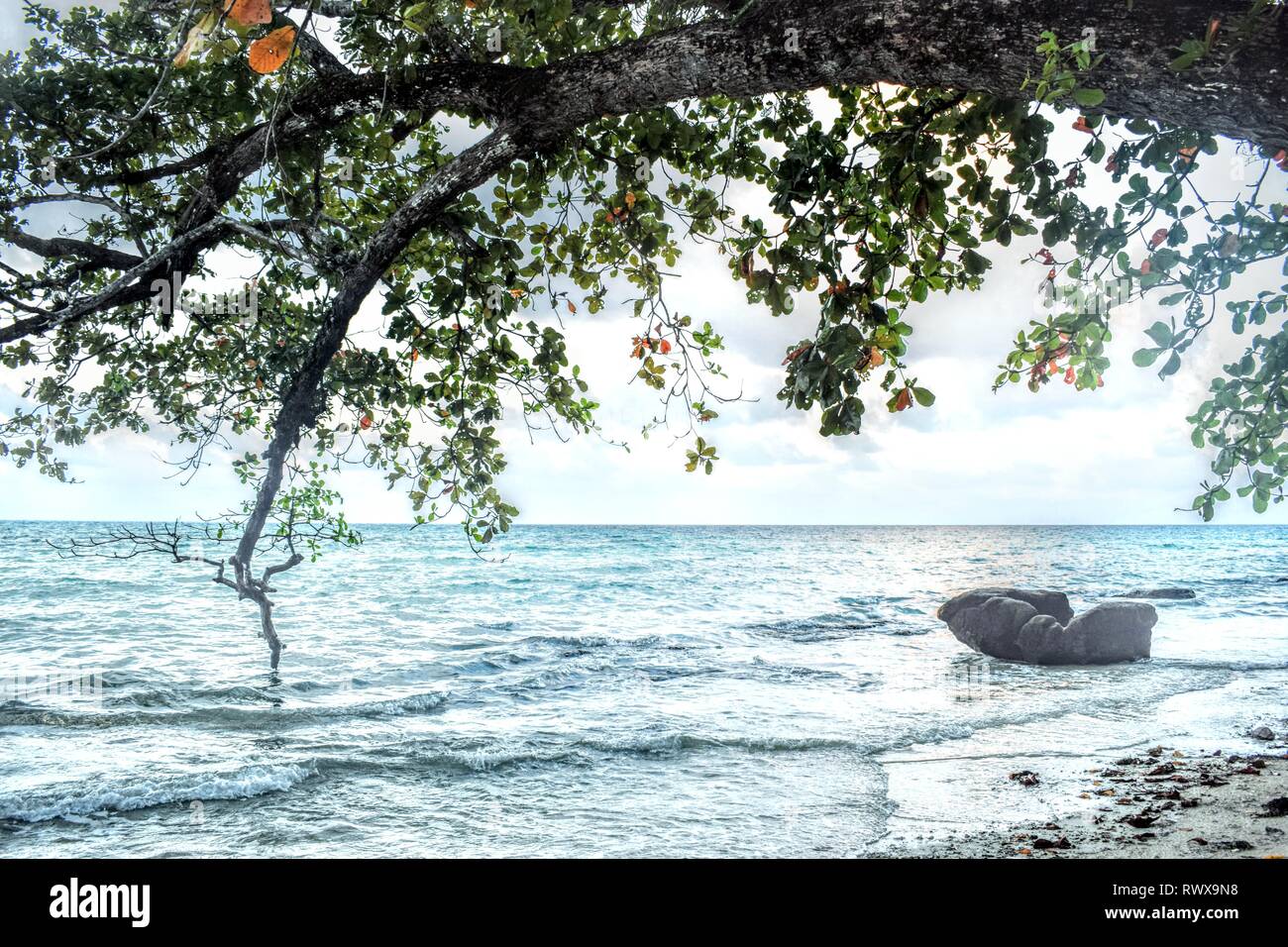 Havelock Island-Andaman, India Tourism Stock Photo - Alamy