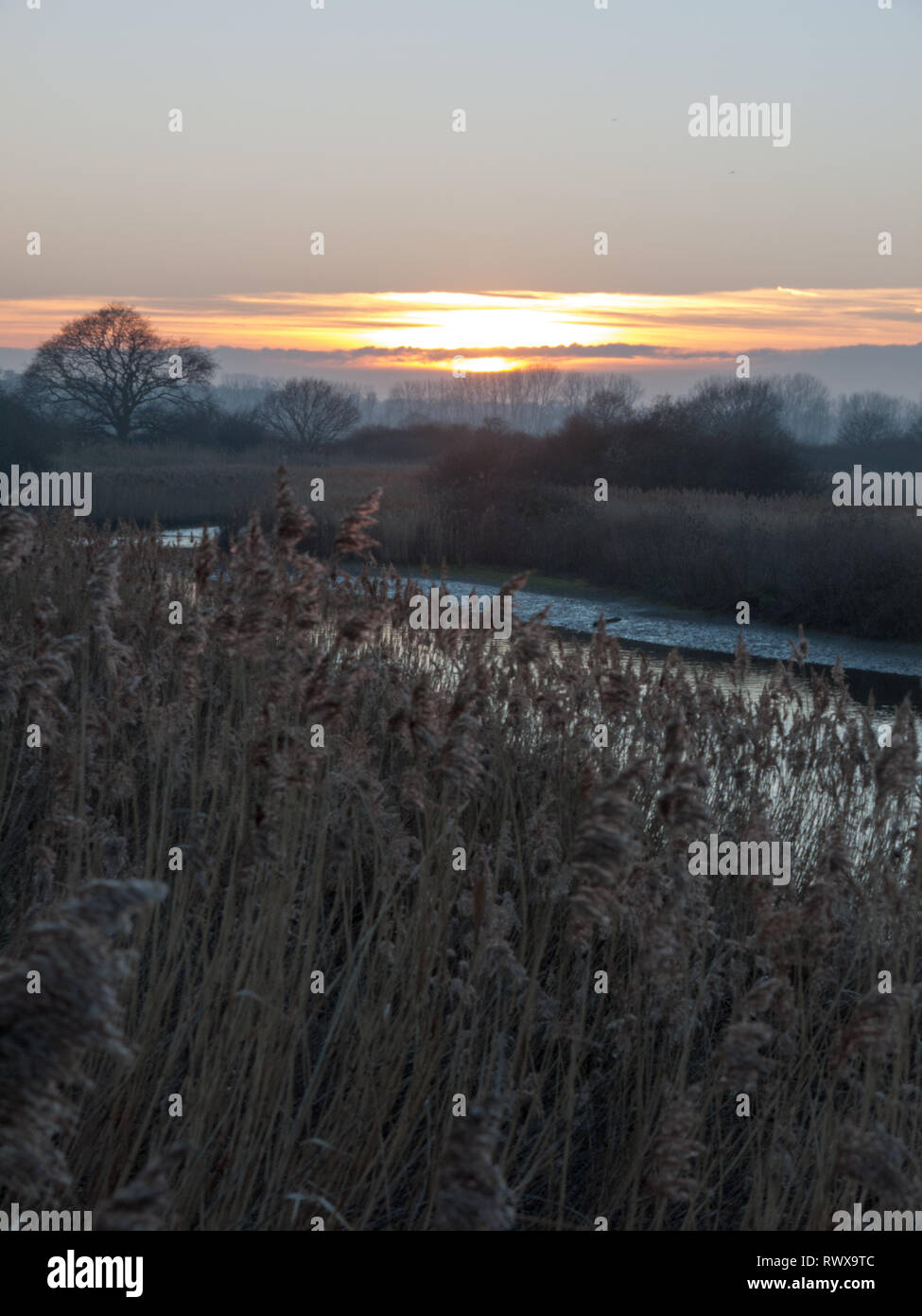 Beautiful countryside Dedham water scene outside nature landscape space ...