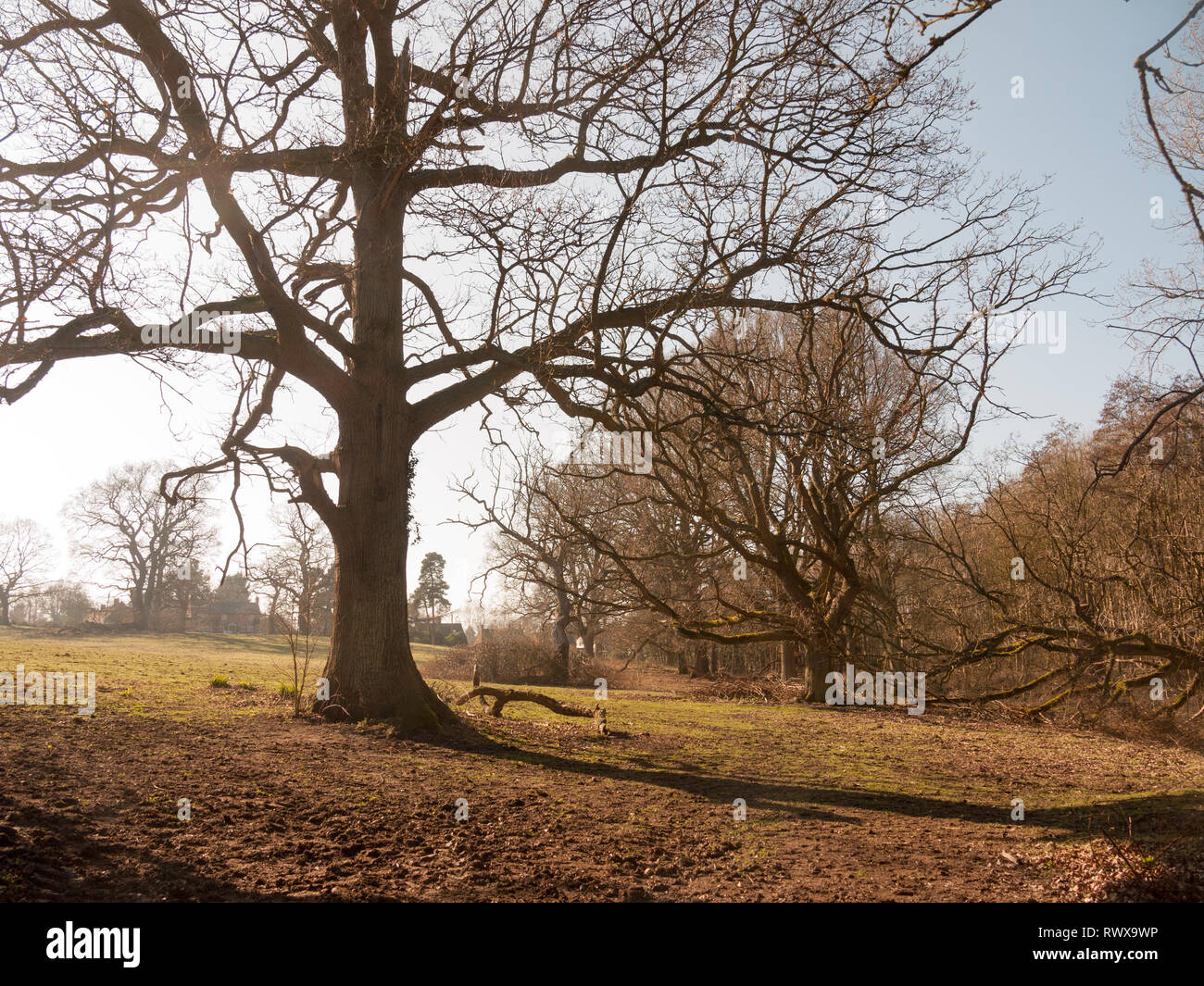 Beautiful countryside Dedham water scene outside nature landscape space ...