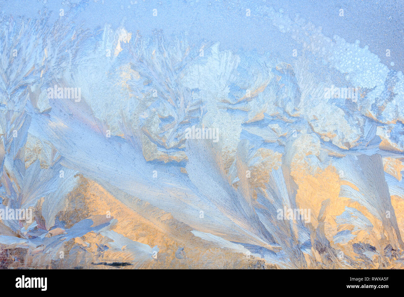 frost painted a picture on the window. winter magic. winter frost ...