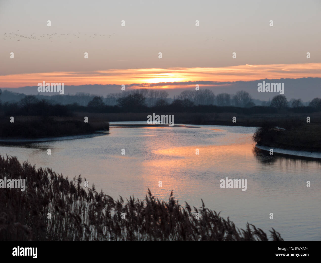 Beautiful countryside Dedham water scene outside nature landscape space ...