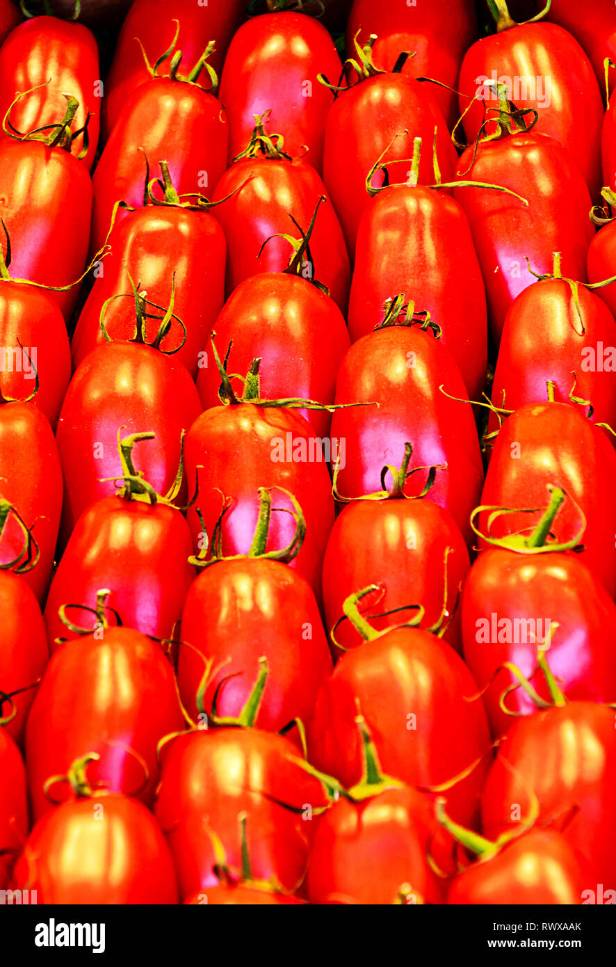 Roma Tomato Background Stock Photo - Alamy