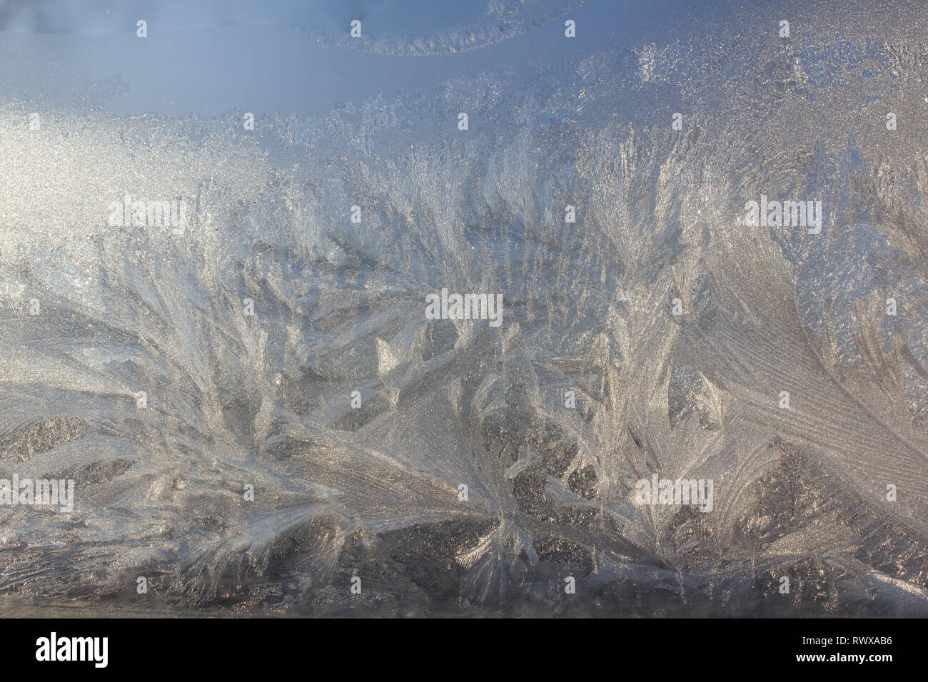 frost painted a picture on the window. winter magic. winter frost ...