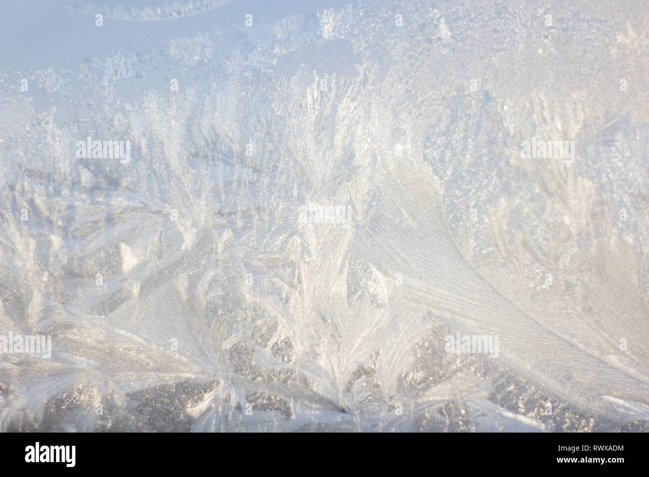 frost painted a picture on the window. winter magic. winter frost ...
