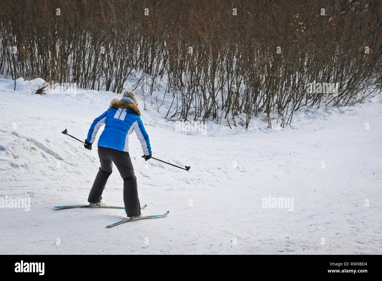 An amateur sportswoman learns to ski on a mountain, ski poles in ...