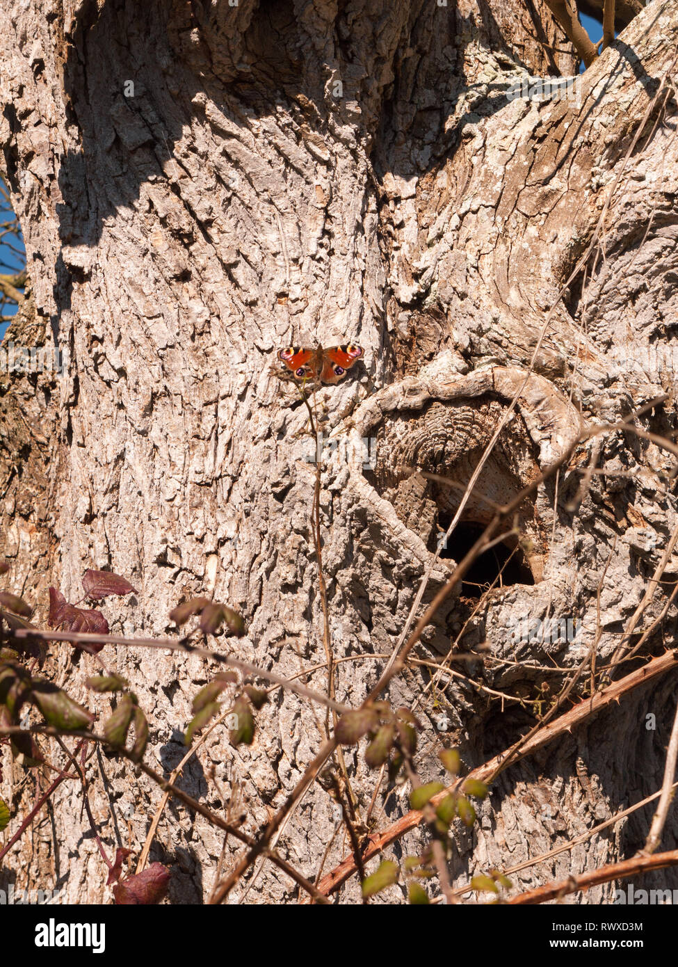 Fingringhoe wick nature reserve outside landscape background space open ...