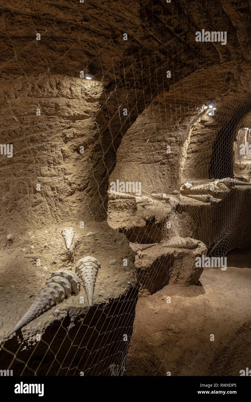 La Cave Aux Coquillages, Fleury La Riviere, France Stock Photo - Alamy