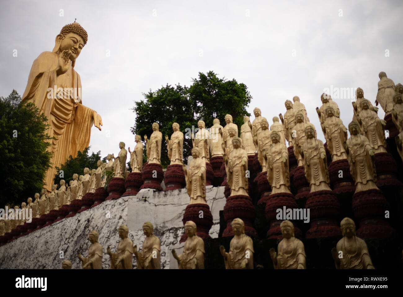 Hand fo guang shan hi-res stock photography and images - Alamy