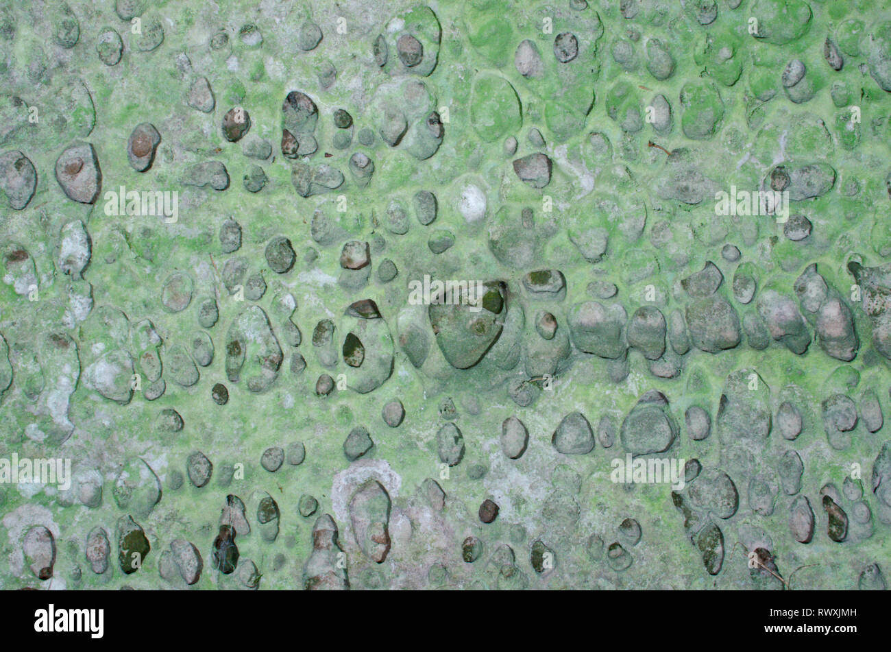 Algae and Lichen Encrusted Weathered Rock at Eridge Rocks Nature ...