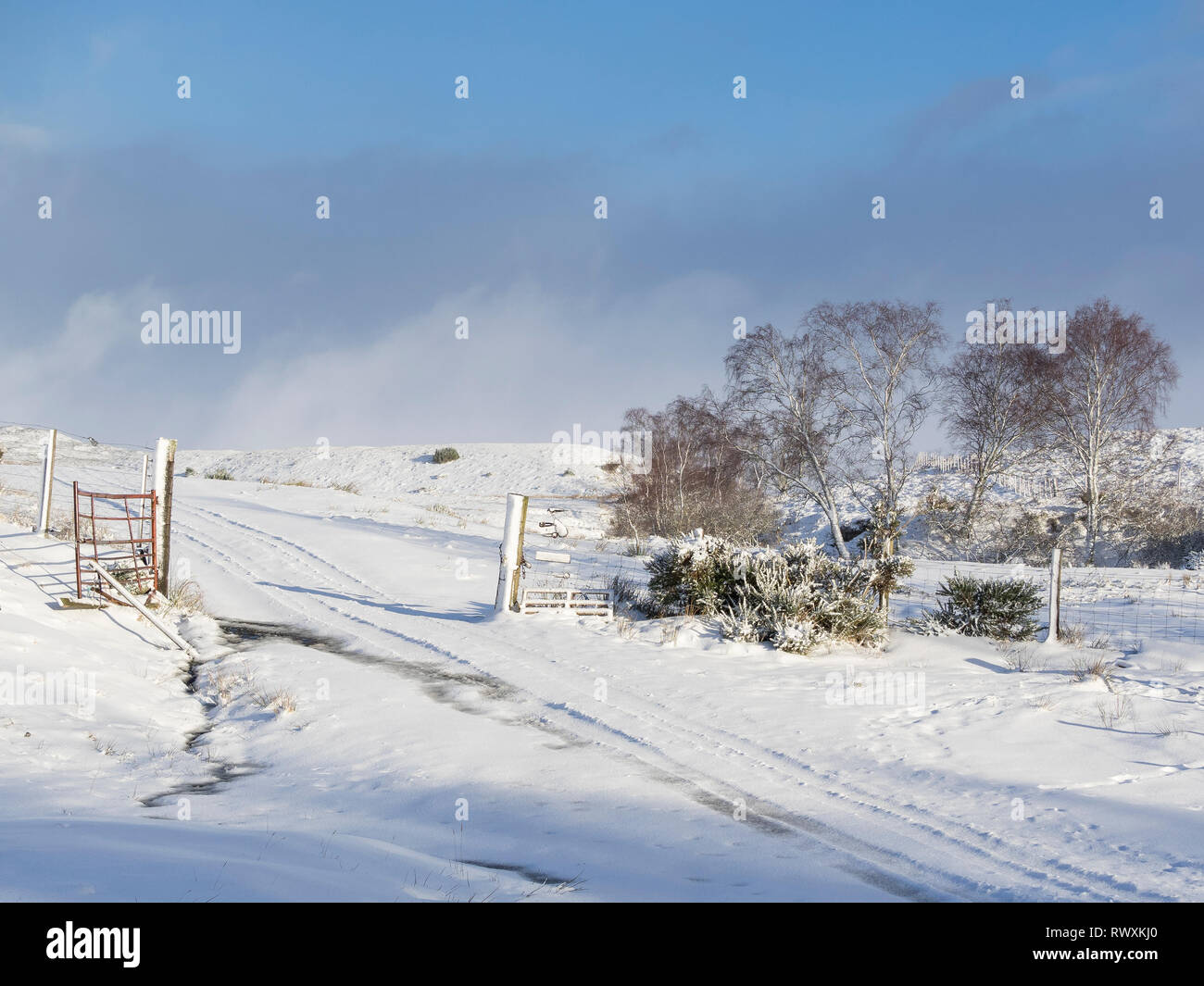 Scotland farm farming snow winter hi-res stock photography and images ...