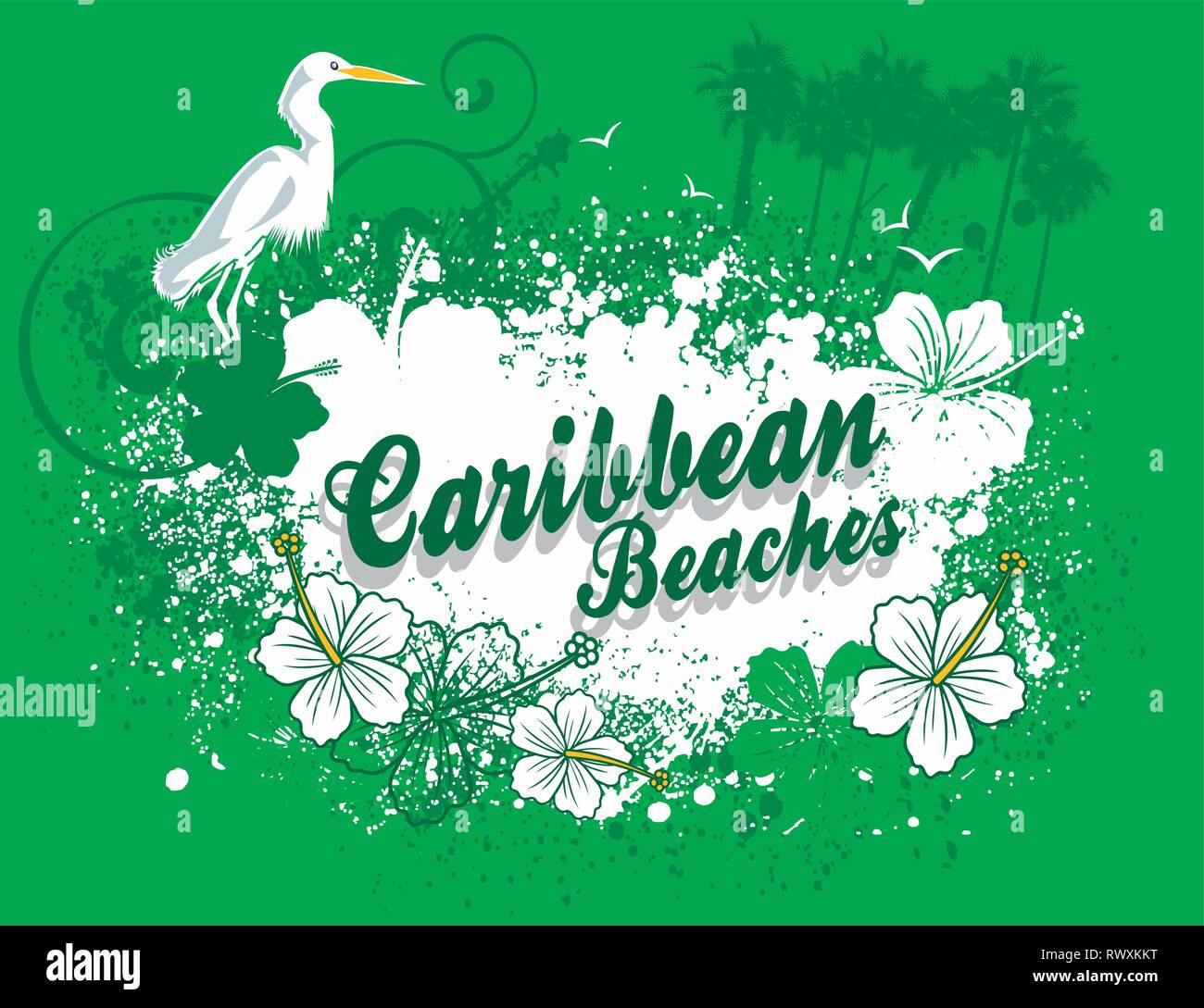 Beaches sea bird Stock Vector Images - Alamy