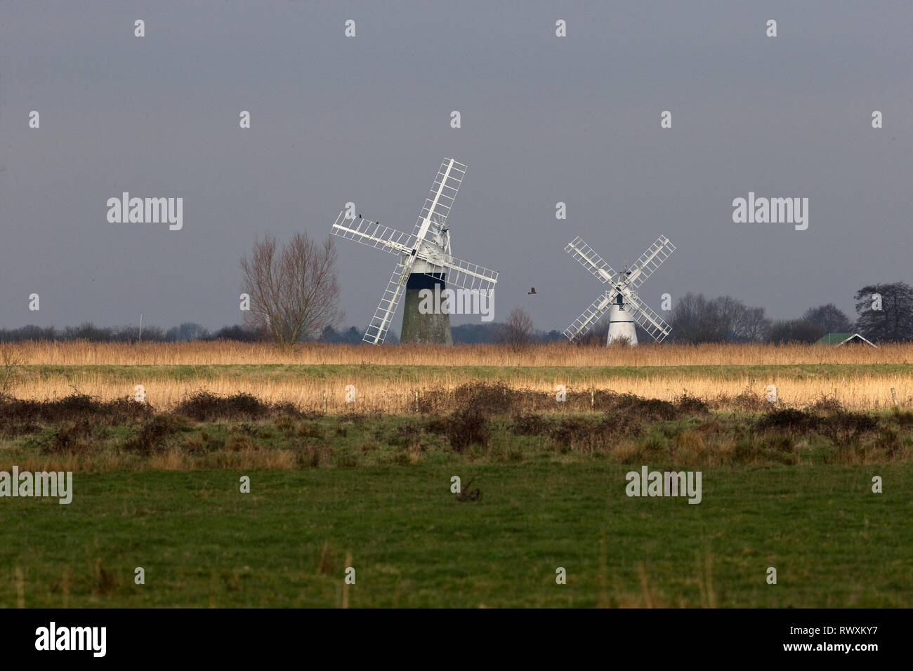 St Benet's Level Mill: Tower Mill Horning & Thurne Windmill Norfolk UK ...