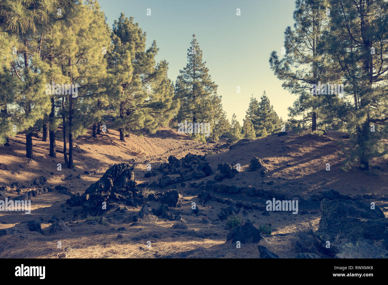 Wide footpath leading through spectacular volcanic landscape Stock ...