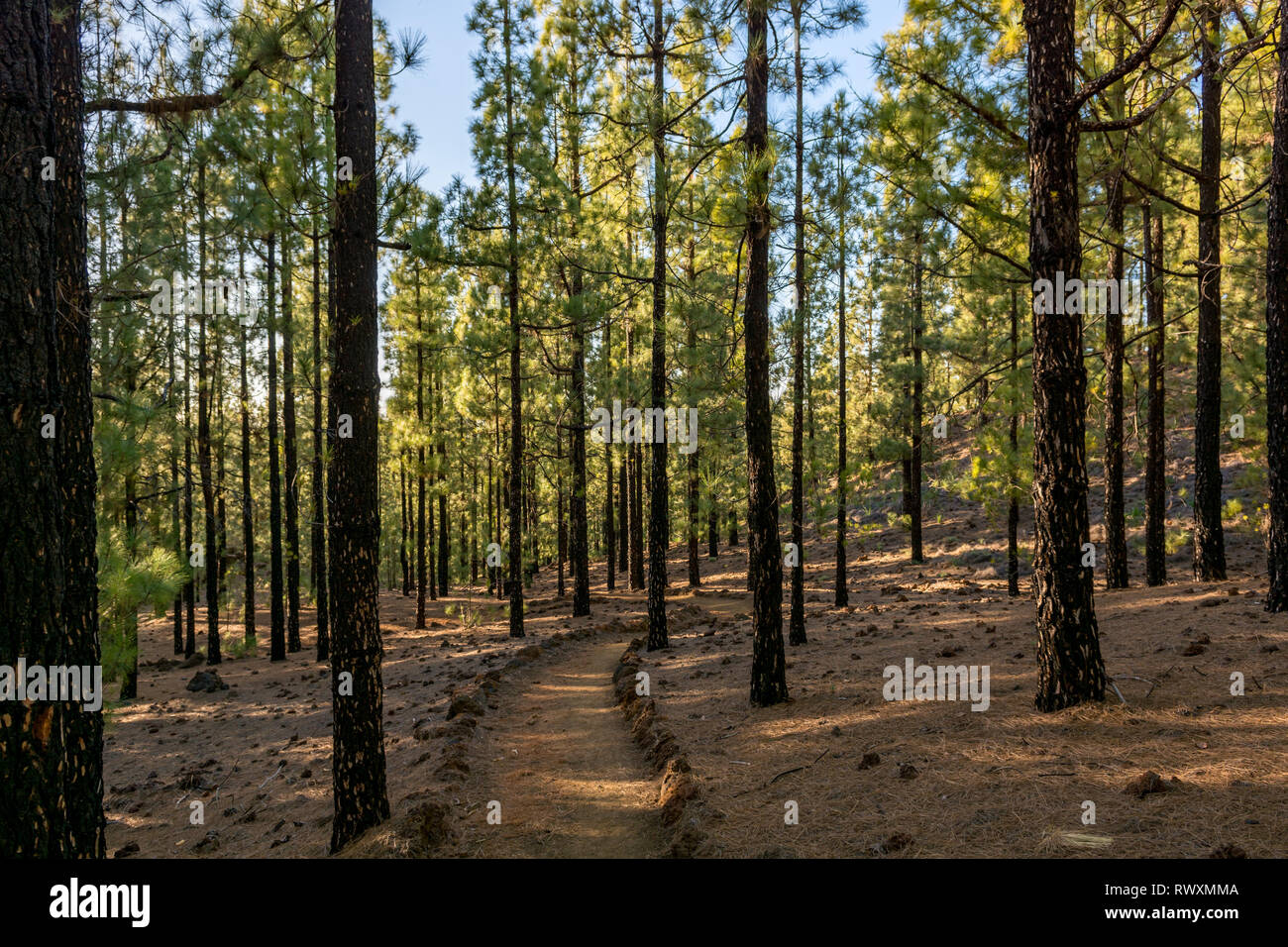 Wide footpath leading through spectacular volcanic landscape Stock ...