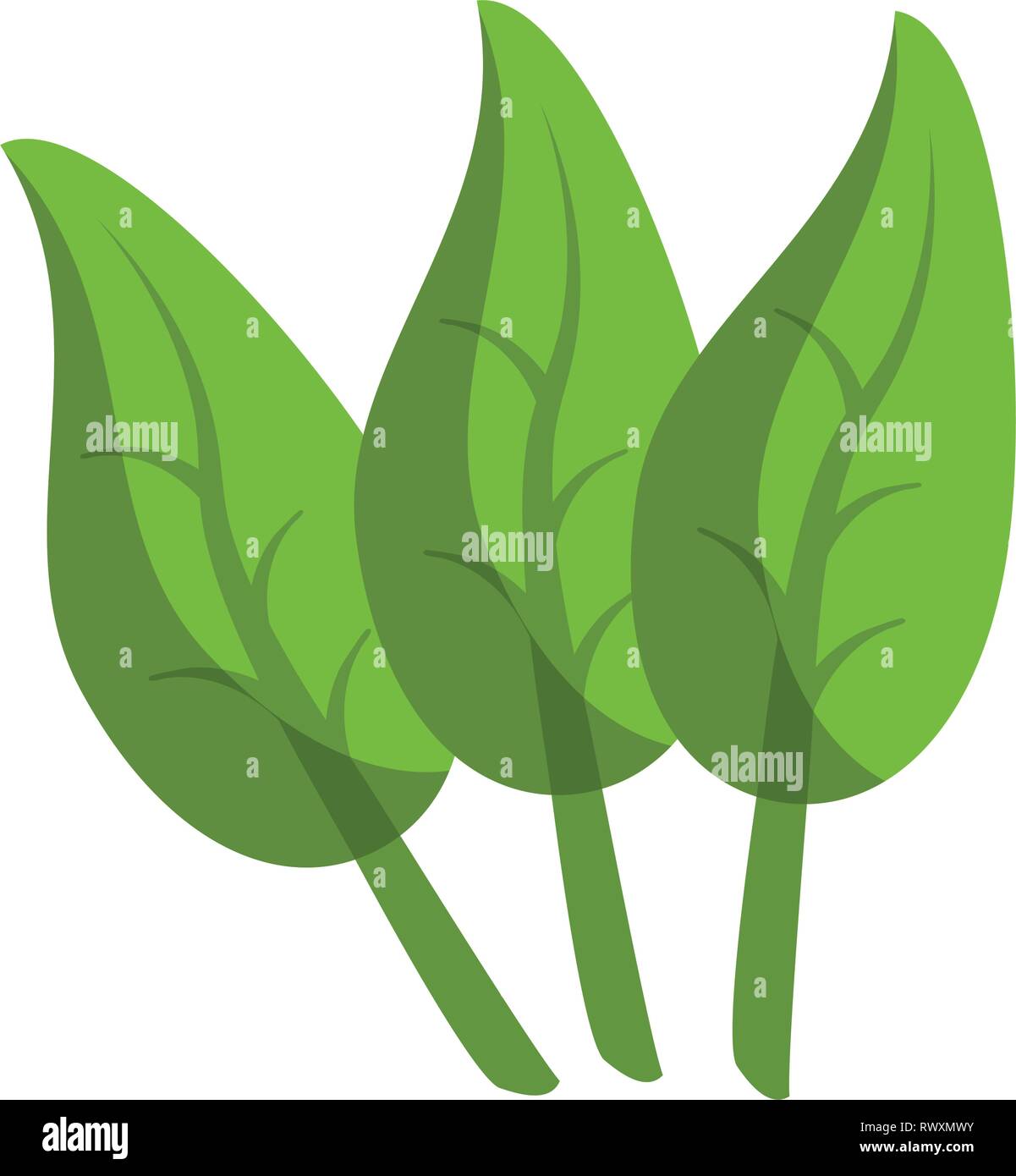 leaves nature cartoon isolated Stock Vector Image & Art - Alamy