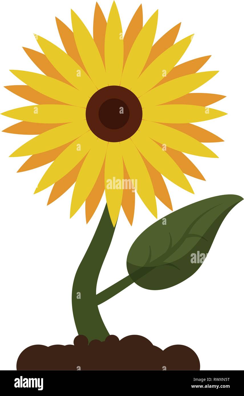Sunflower plant cartoon isolated Stock Vector Image & Art - Alamy