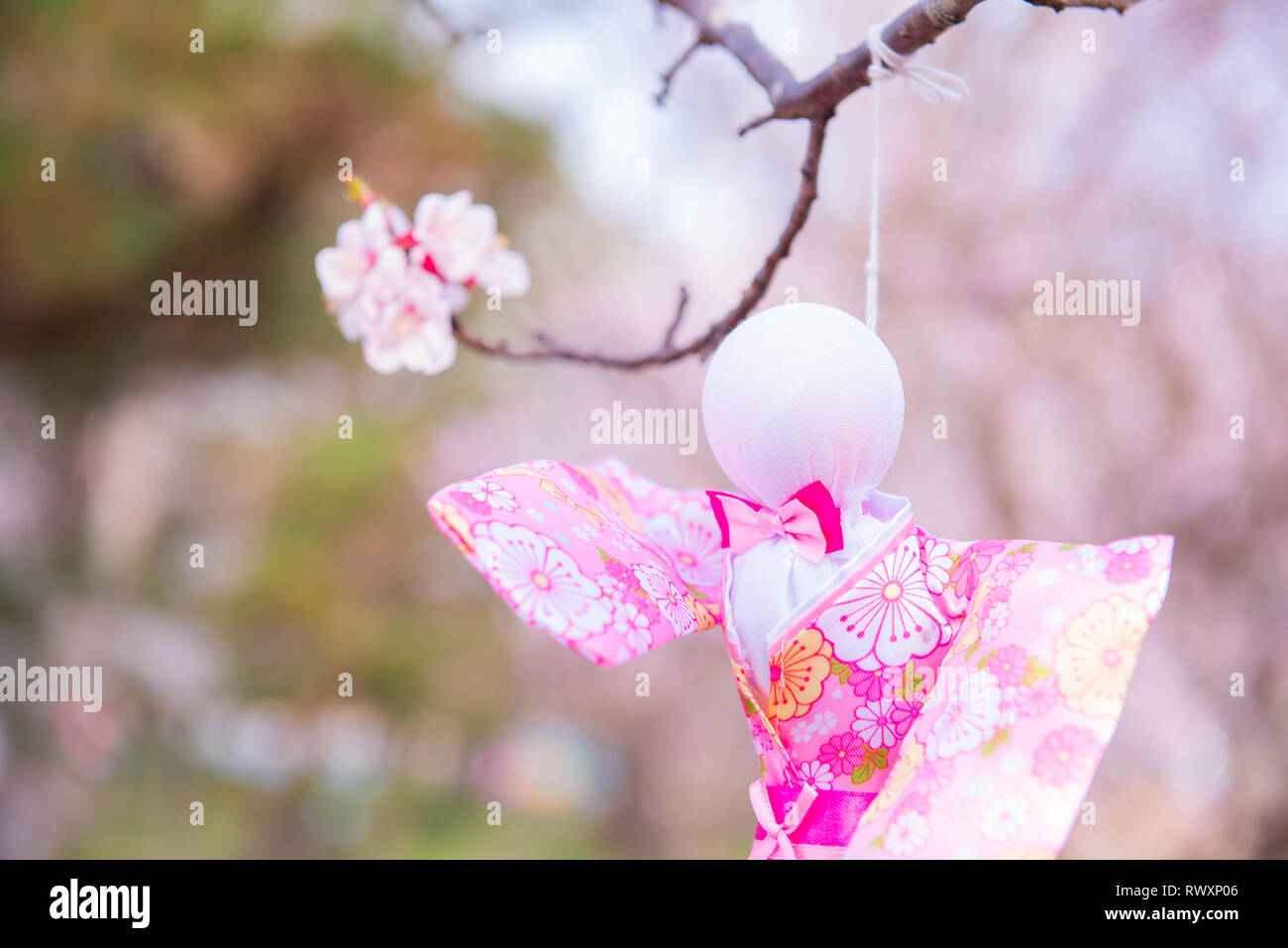 Teru Teru Bozu. Japanese Rain Doll hanging on Sakura tree to pray for ...