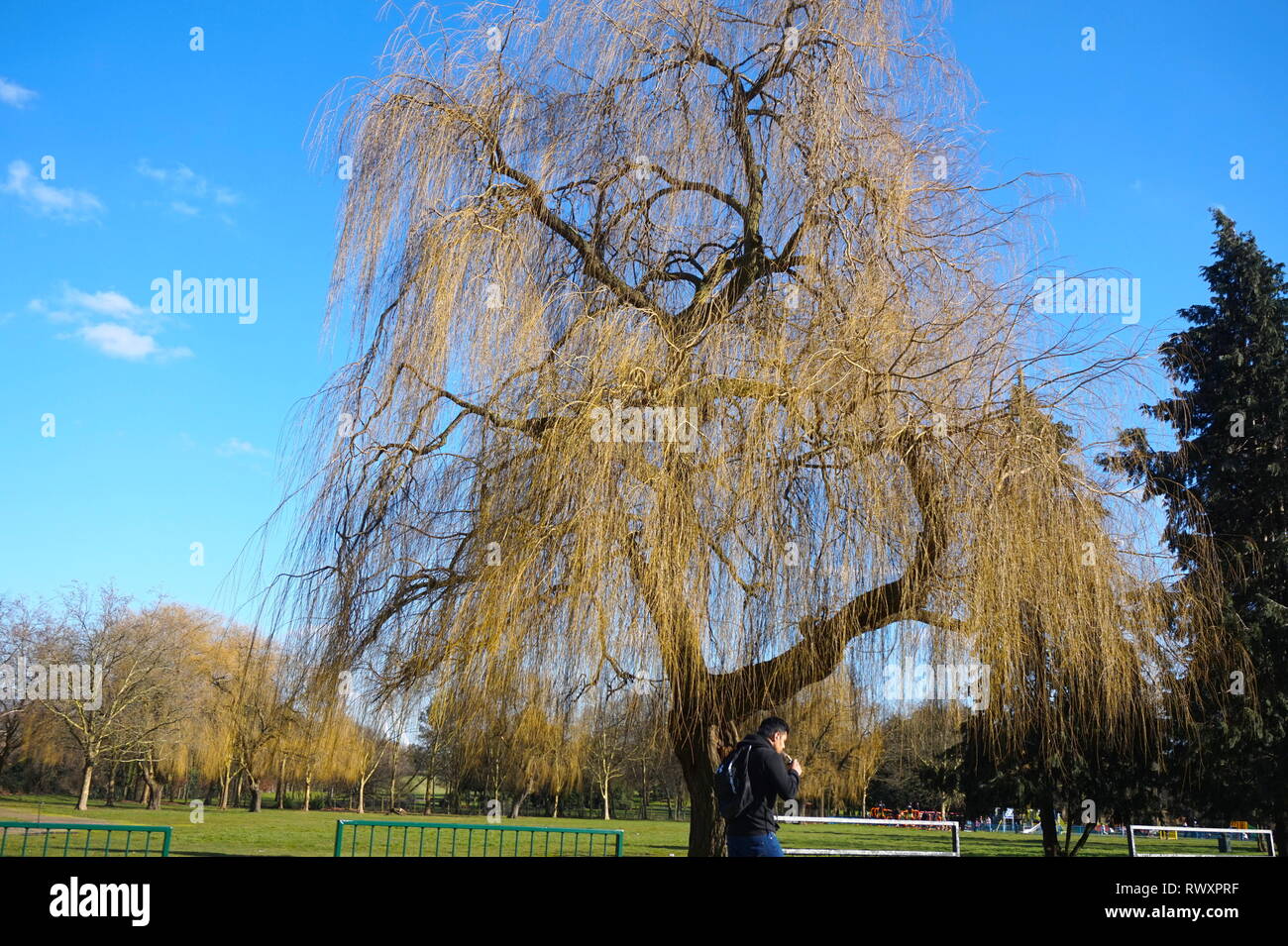 Harrow london summer hi-res stock photography and images - Alamy