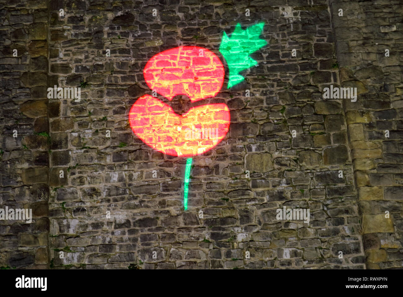 Poppy projection on the wall of Clitheroe Castle Stock Photo - Alamy