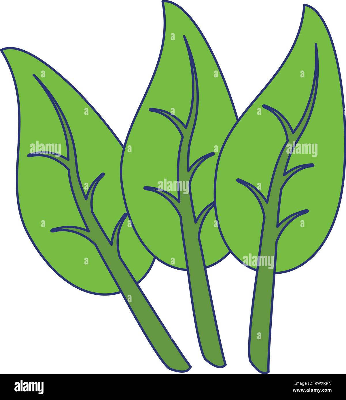 leaves nature cartoon isolated Stock Vector Image & Art - Alamy