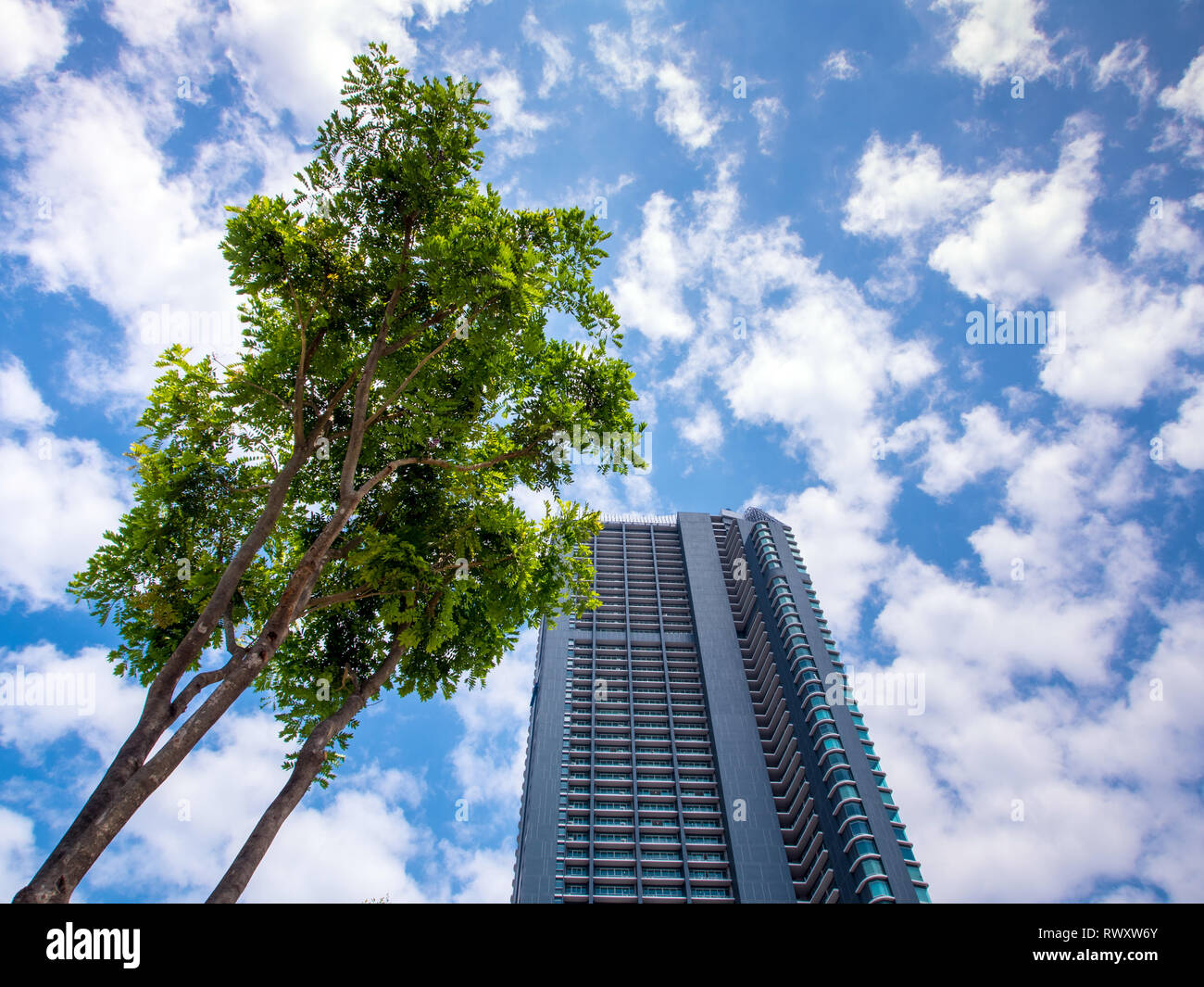 Skyscraper and trees under the cloud and sky Stock Photo - Alamy
