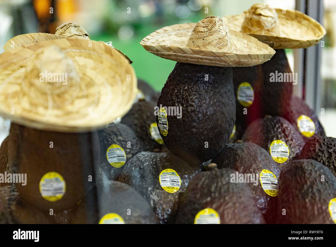 Mexico on display at exhibition hi-res stock photography and images - Alamy