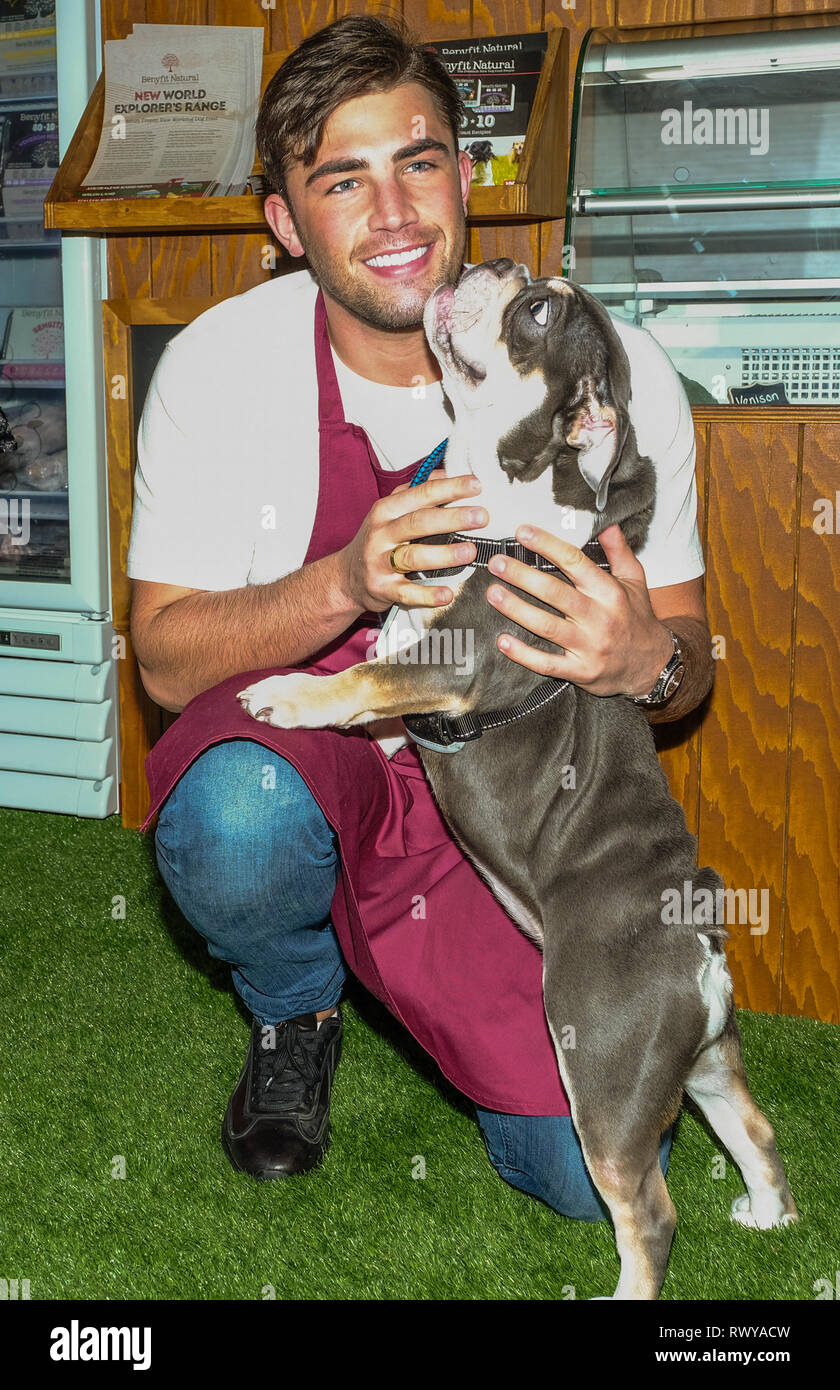 Birmingham, UK. 8th March, 2019. NEC Birmingham. Crufts Dog Show.Jack ...