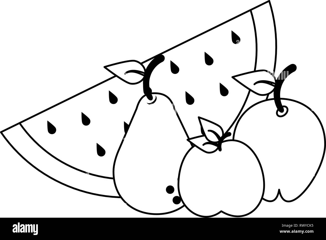 Fruits watermelon pear and apples in black and white Stock Vector Image ...