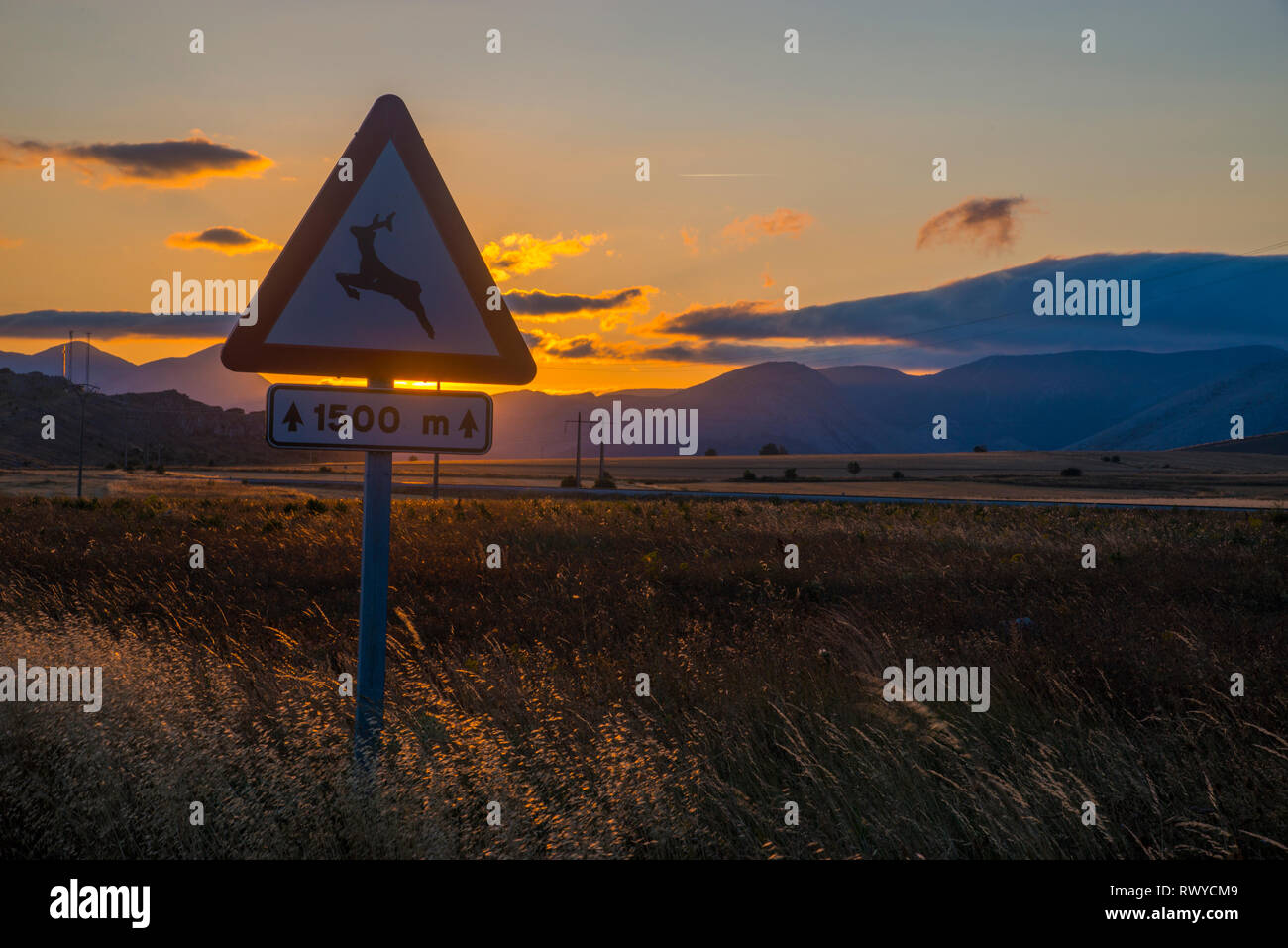 Wild animals traffic sign and sunset landscape. Montaña Palentina ...