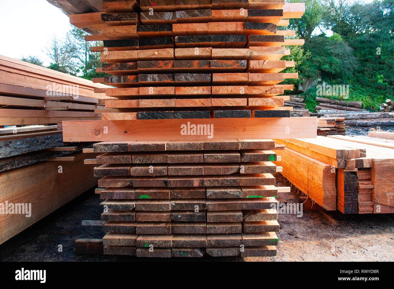 Timber planks for building materials Stock Photo - Alamy