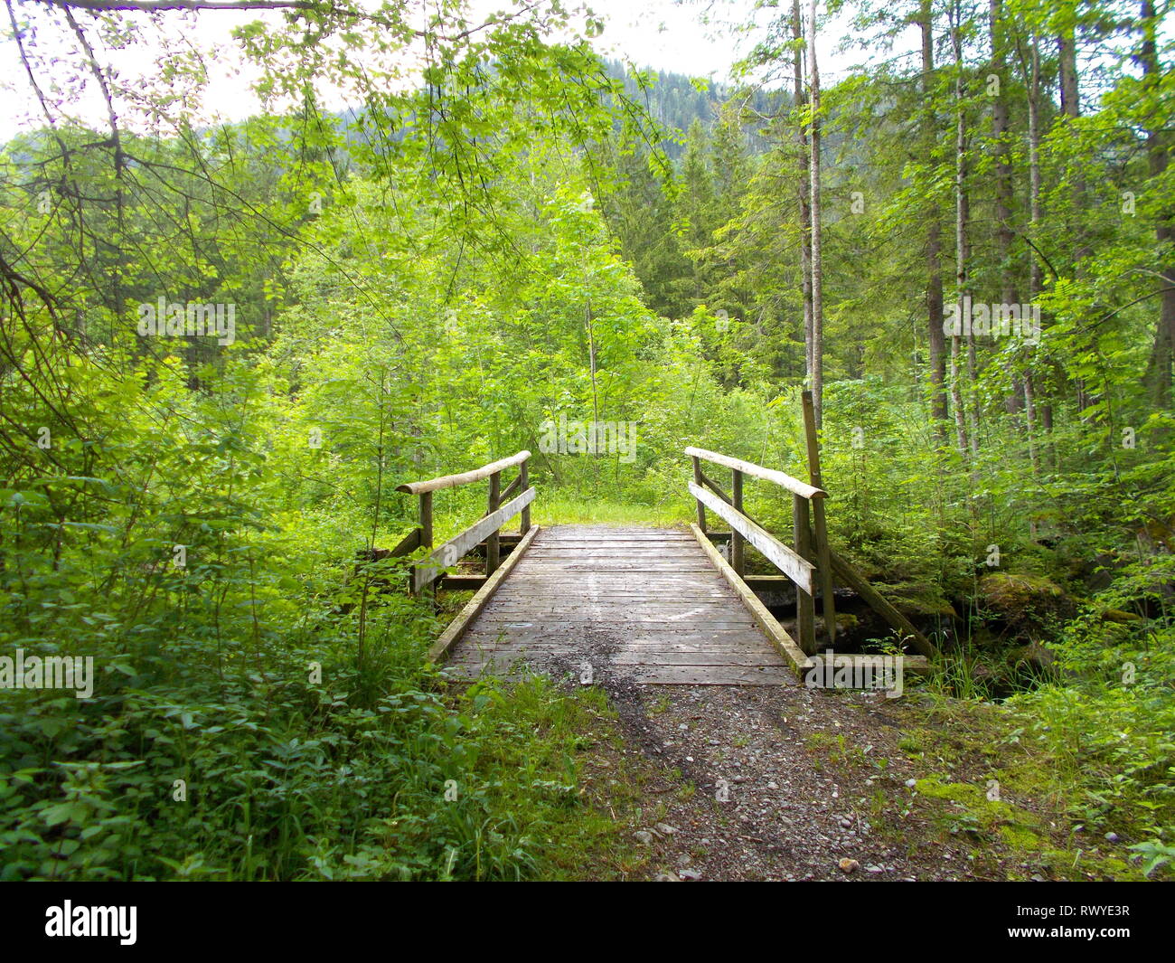 Bridge to nowhere Stock Photo - Alamy