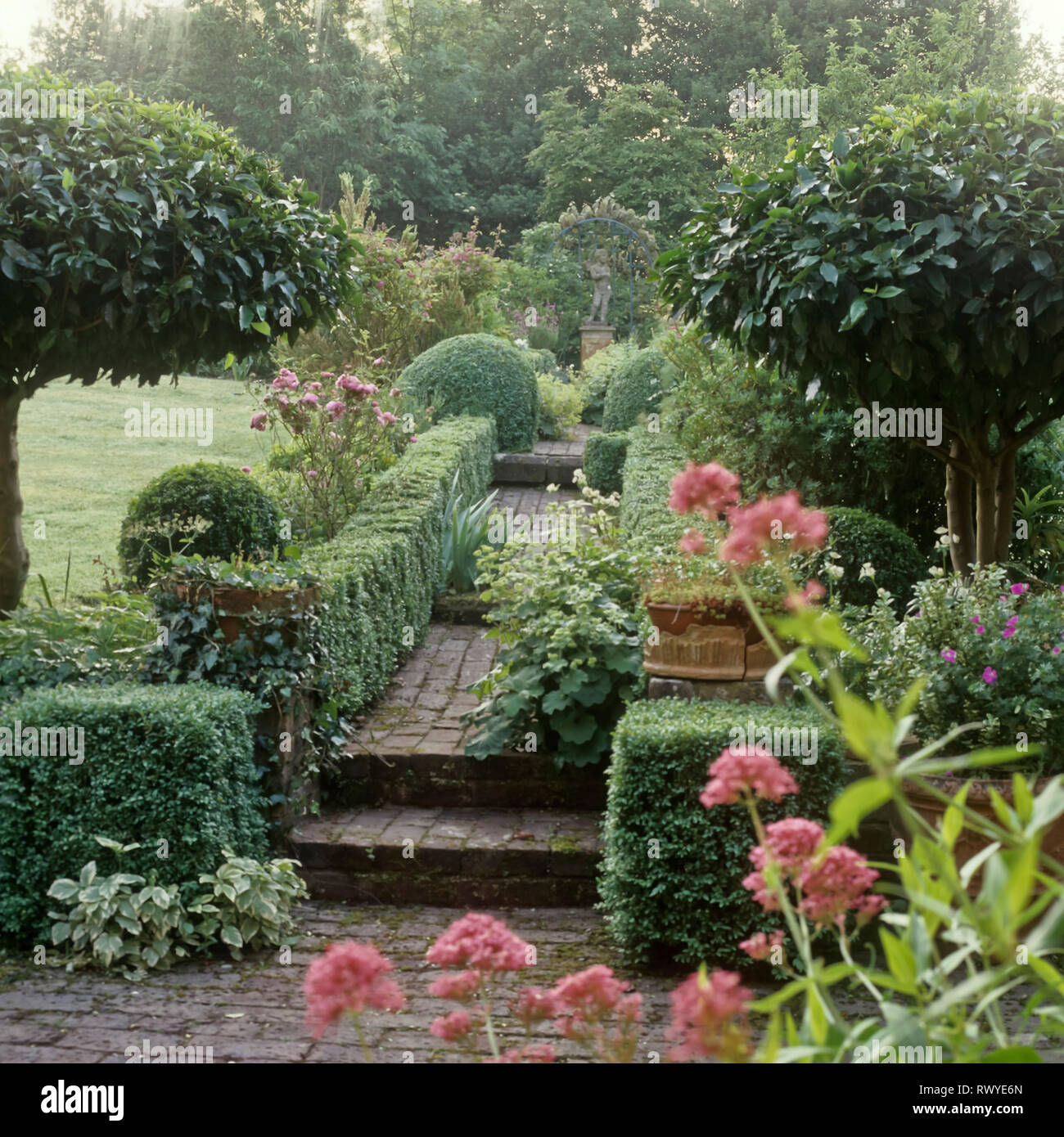 Garden Hedge Uk High Resolution Stock Photography and Images - Alamy