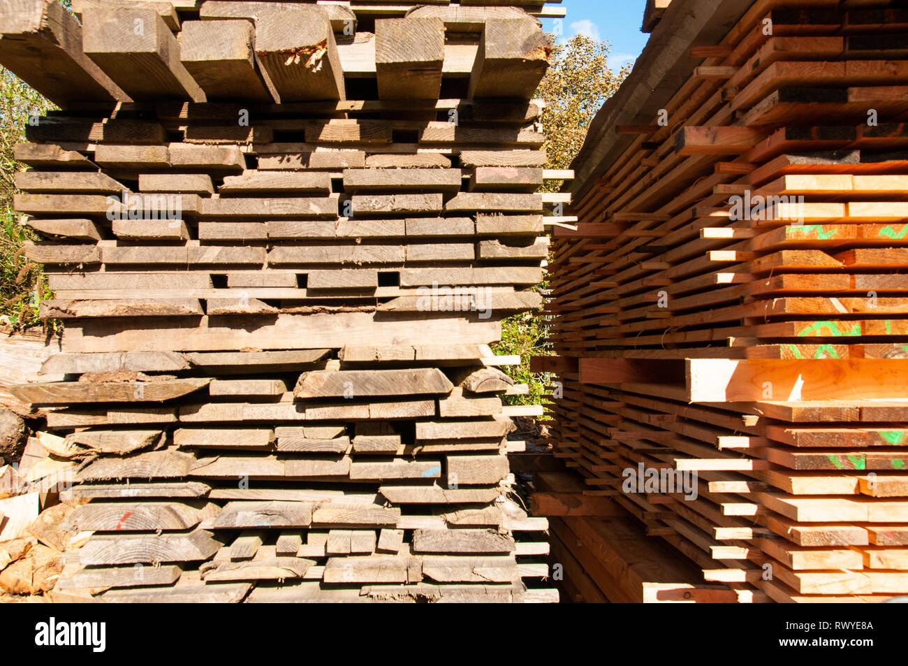 Timber lengths hi-res stock photography and images - Alamy