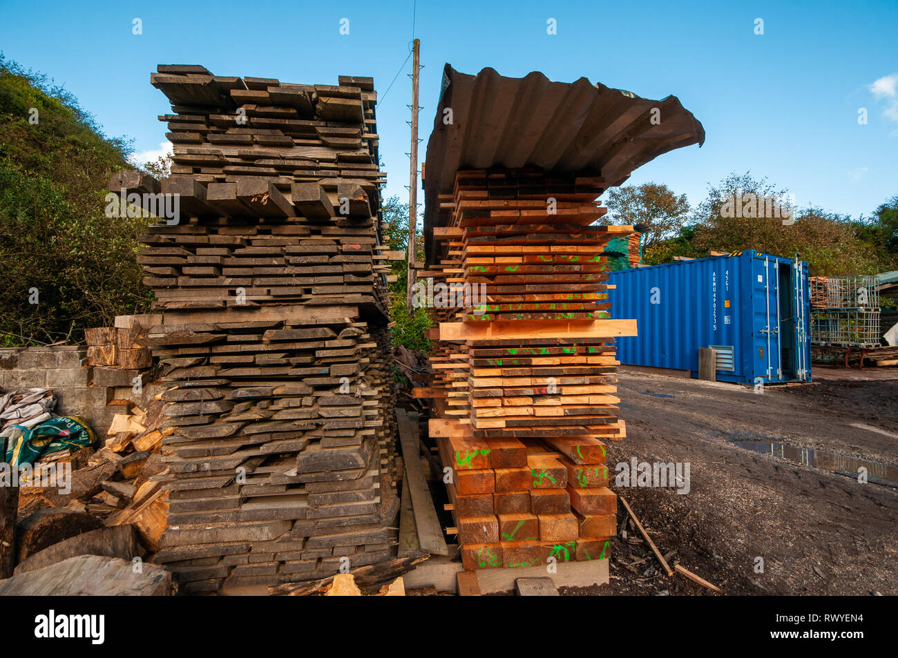 Palettes of timber stacked in yard Stock Photo - Alamy