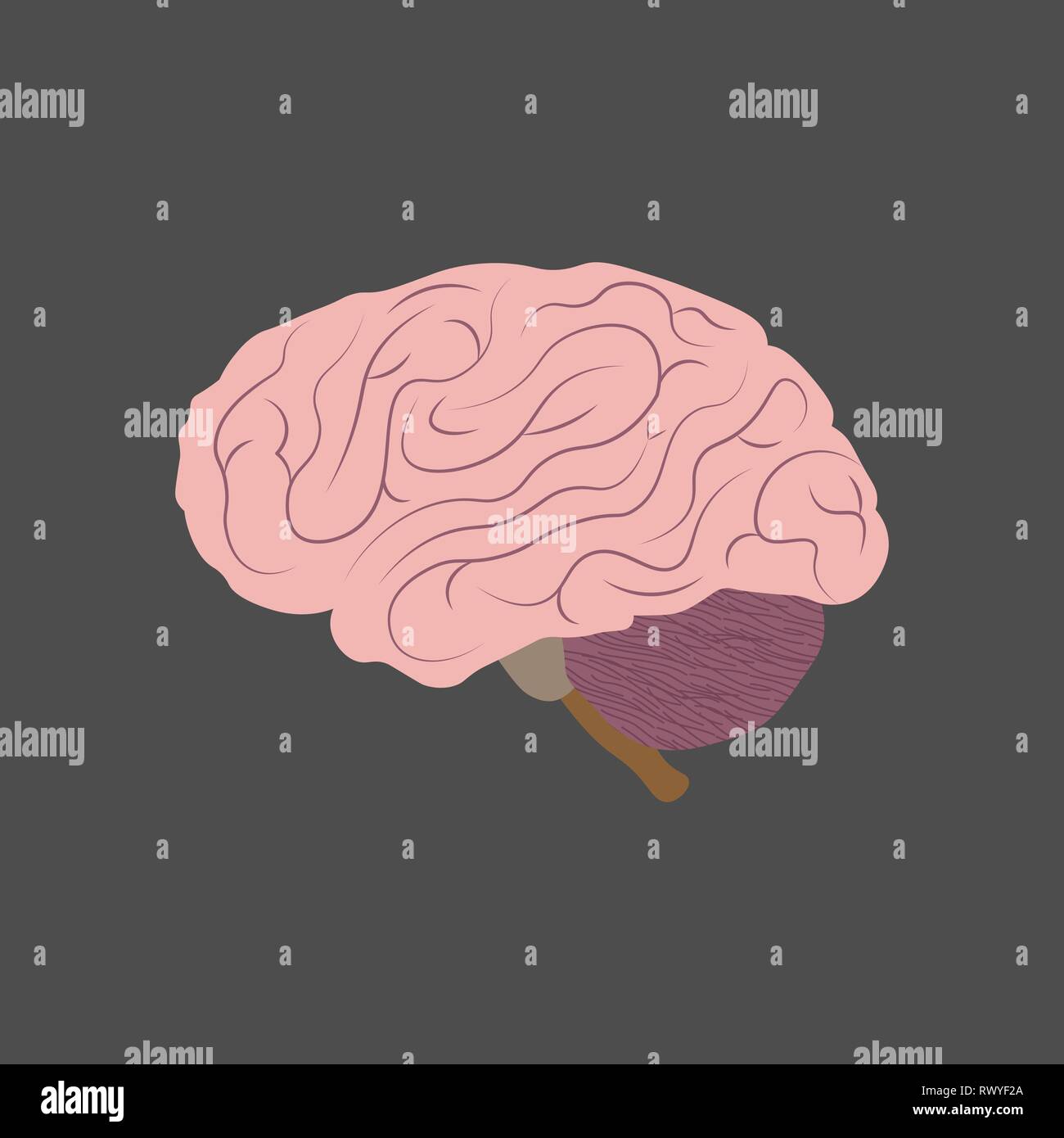Brain or mind side view line art color vector icon for medical websites ...