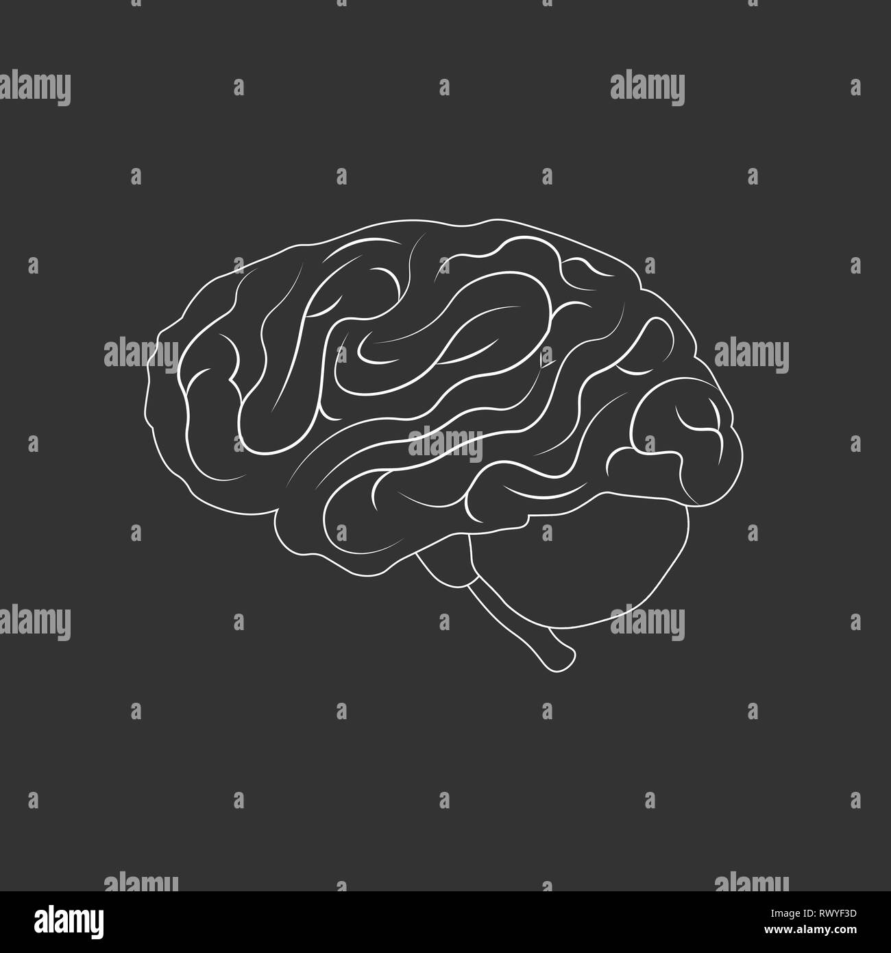 Brain or mind side outline vector icon. medical illustration 10 eps ...