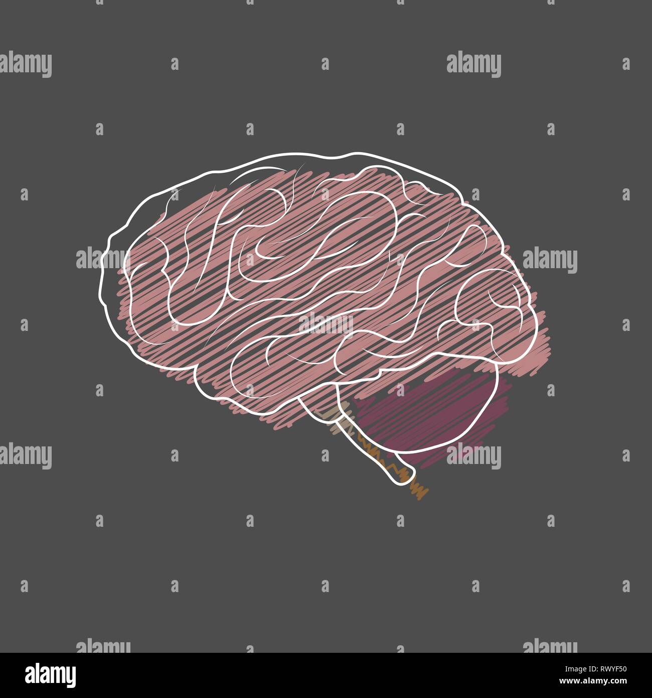 Vector Medical illustration. Brain or mind side. Styling hatching 10 ...