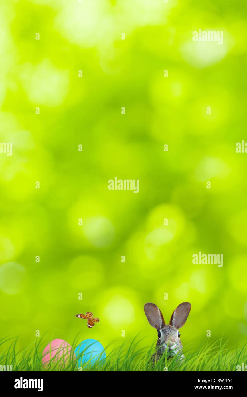 Cartoon Easter Scene Easter Bunny High Resolution Stock Photography and ...