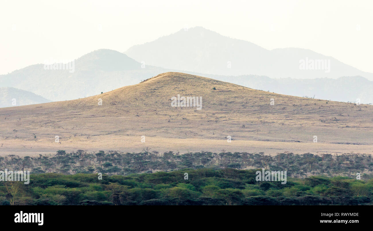 Kenyan plains hi-res stock photography and images - Alamy