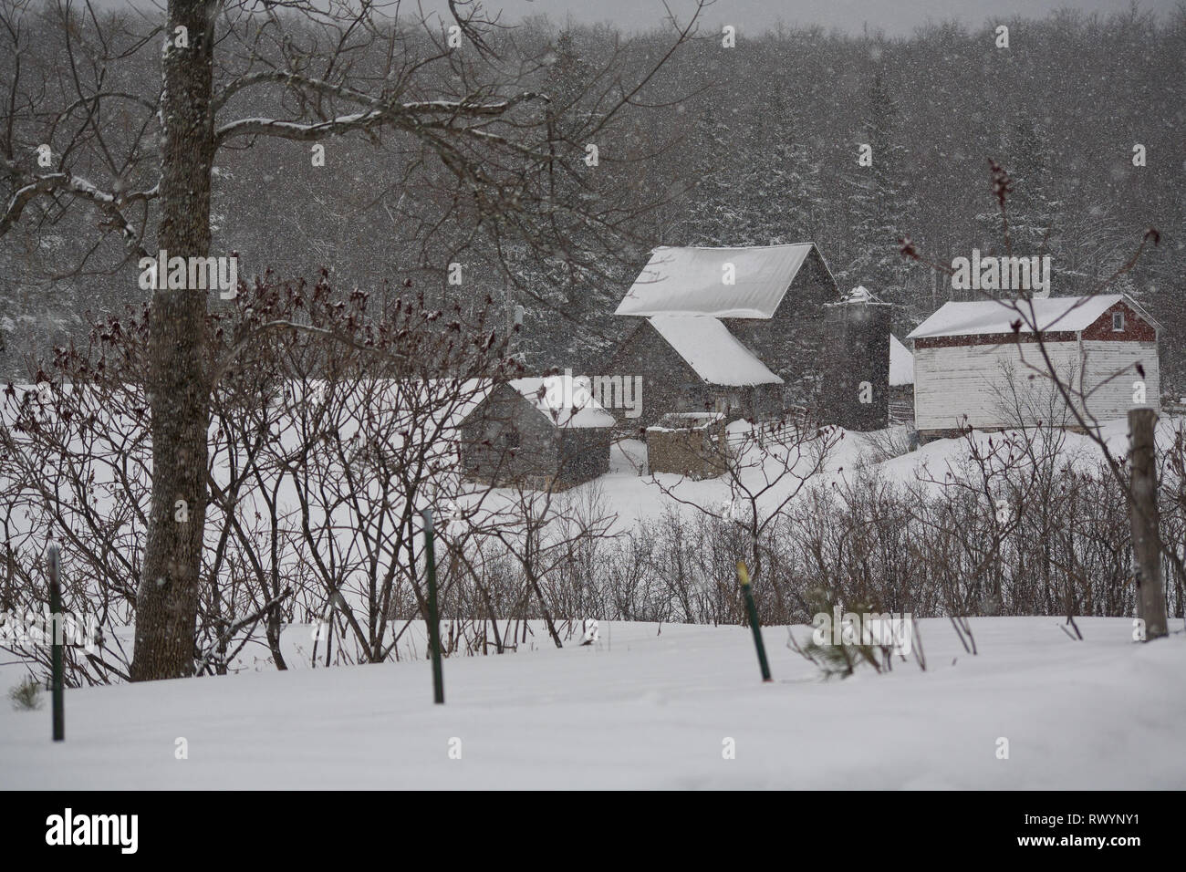Lake effect snow michigan hi-res stock photography and images - Alamy
