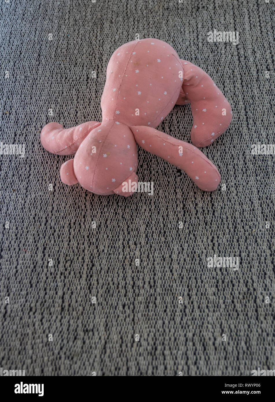 Discarded child's old soft toy isolated on a grey carpet image with ...