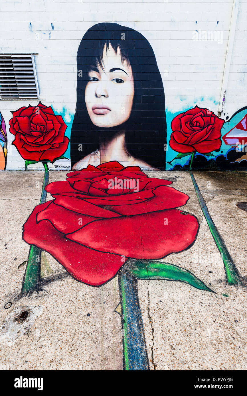 Graffiti by some talented artists in Downtown Houston, TX Stock Photo ...