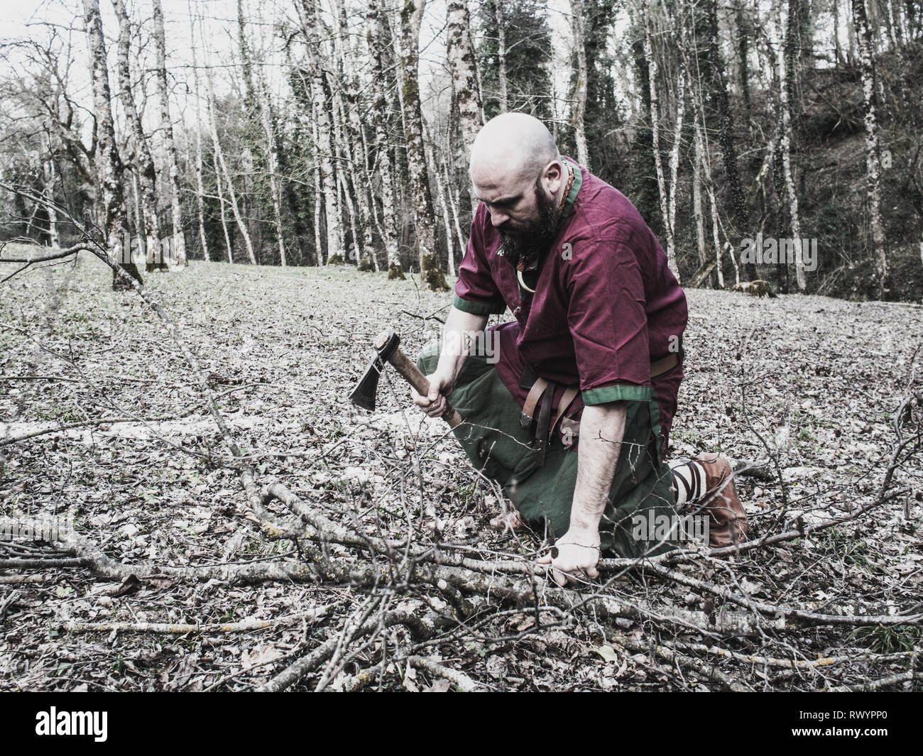 Viking cutting woods Stock Photo - Alamy