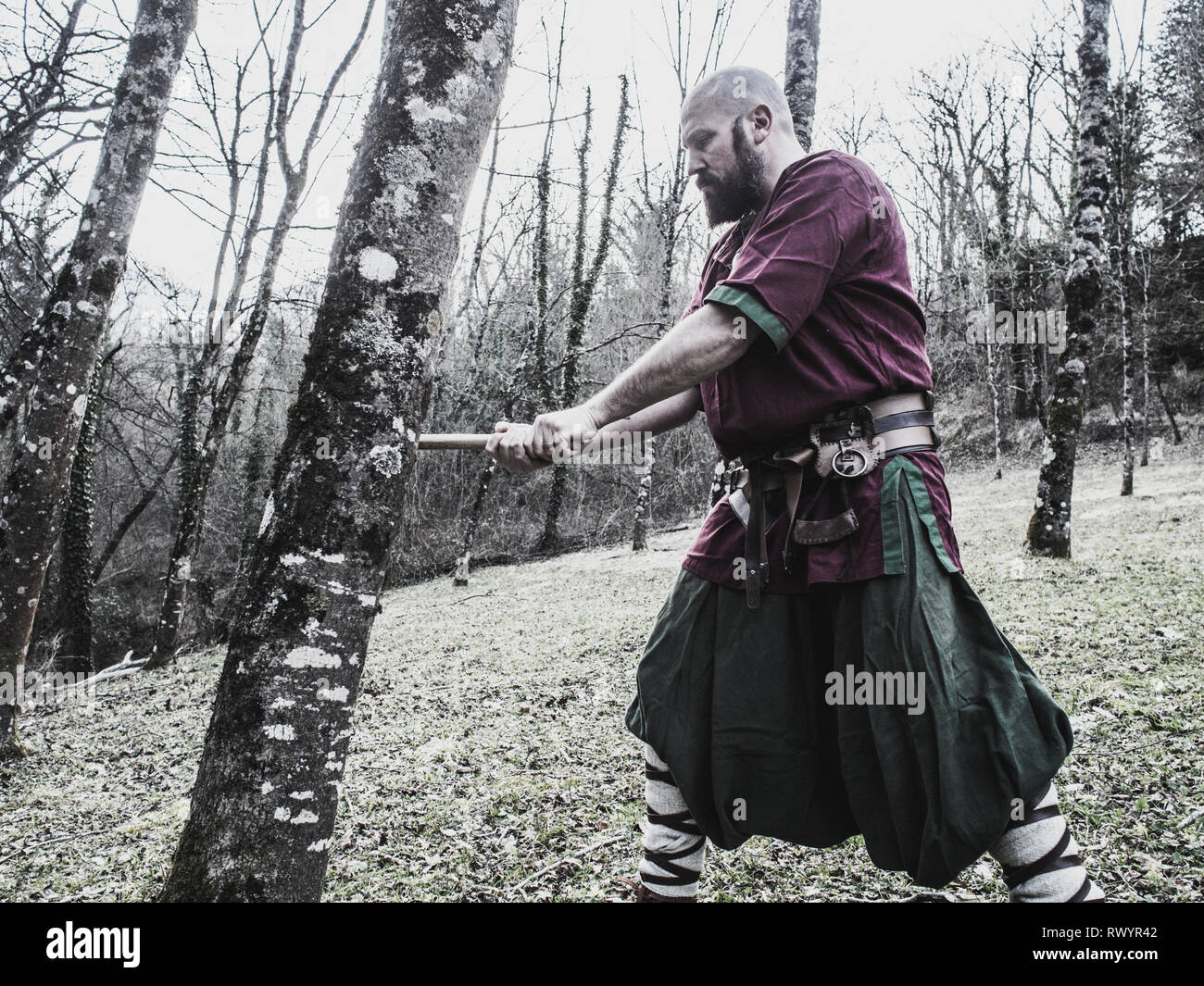 Viking cutting a tree with an axe Stock Photo - Alamy