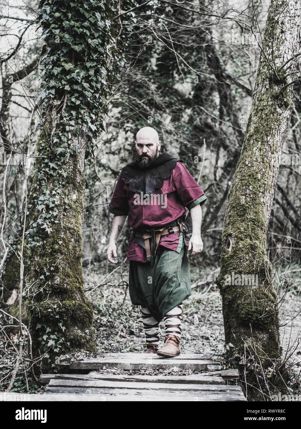 Viking walking through a bridge Stock Photo - Alamy